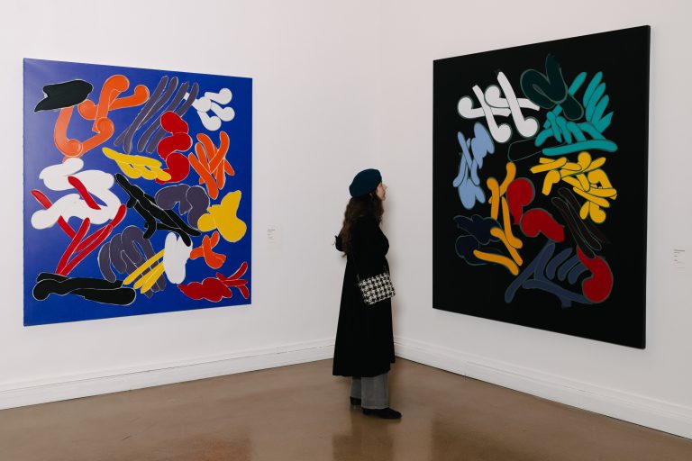 Retrospective of Pierre Dunoyer at the Musée d'Art Moderne - Say Who